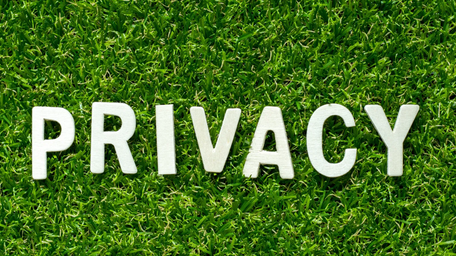 wood alphabet in word privacy on artificial green grass background ...